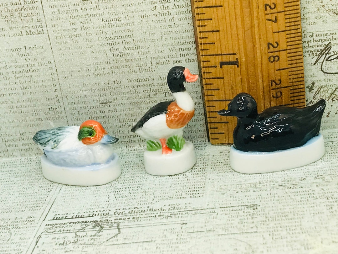 Tiny DUCKS WATERFOWL of the World Hand Painted Great Water Bird Birds ...