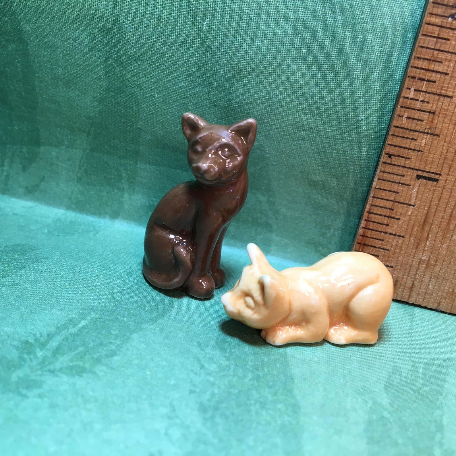 COLOR CATS Chocolate & Caramel Cat Kitten Kitty Feline | Etsy