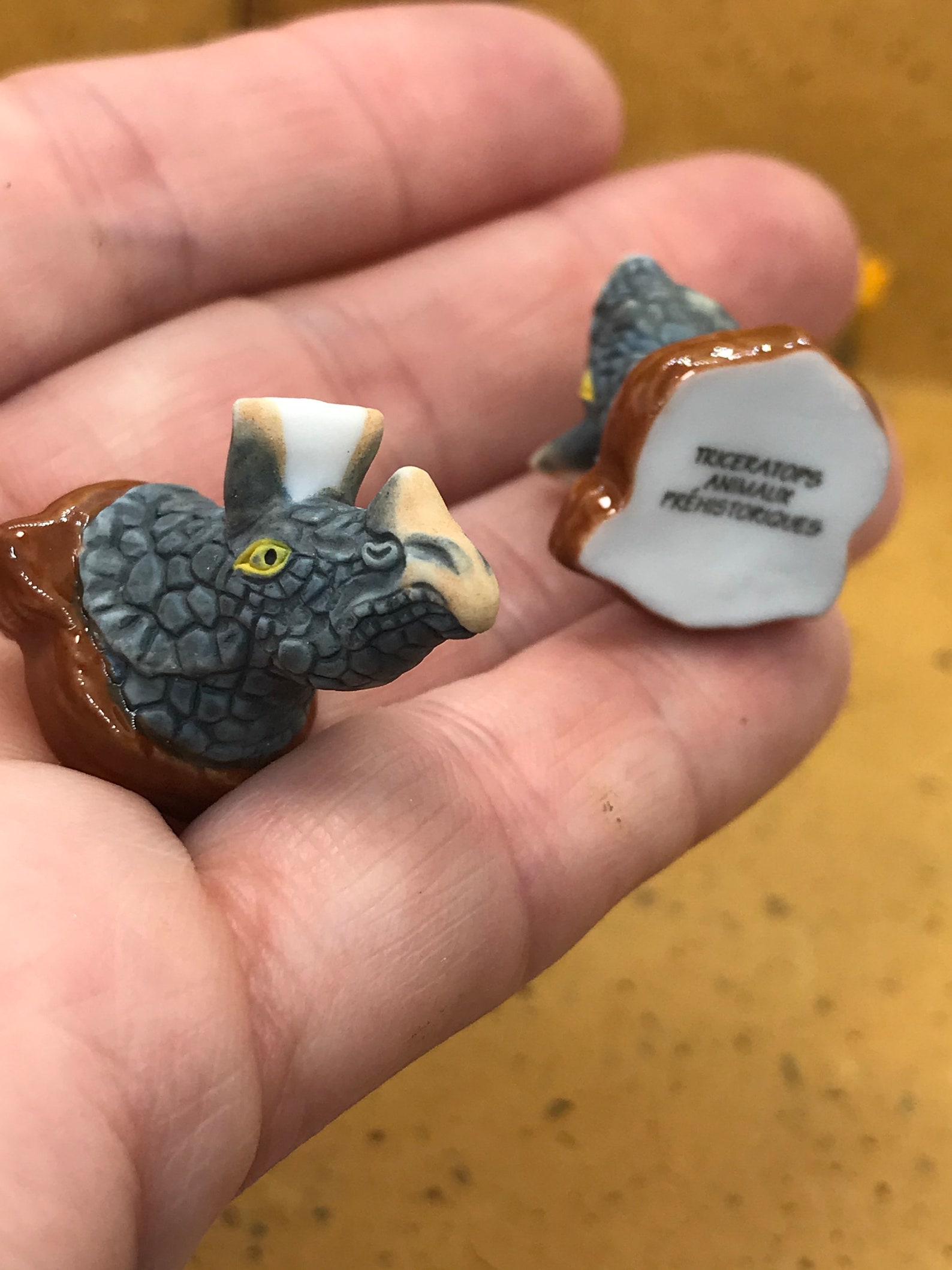 Tiny DINOSAUR Trendy Wall Head Mounts Dinosaurs Taxidermy Triceratops T ...