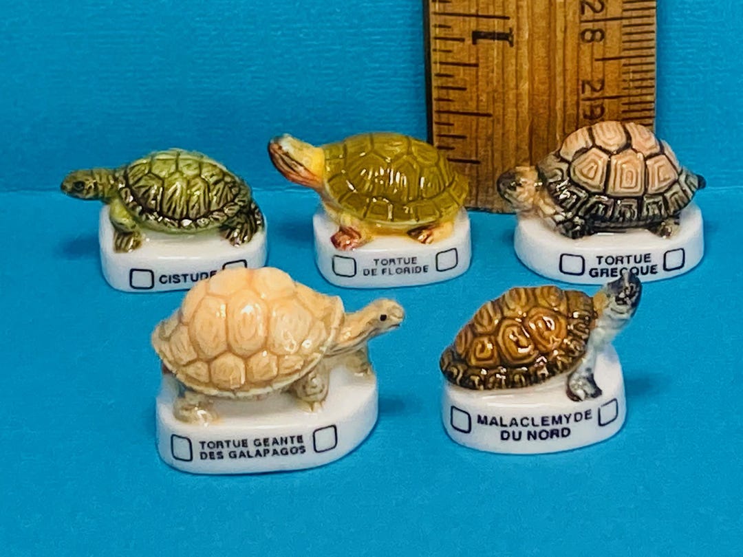 TURTLE Tortoise Species Turtles Tortoises Hand Painted Porcelain Marine ...