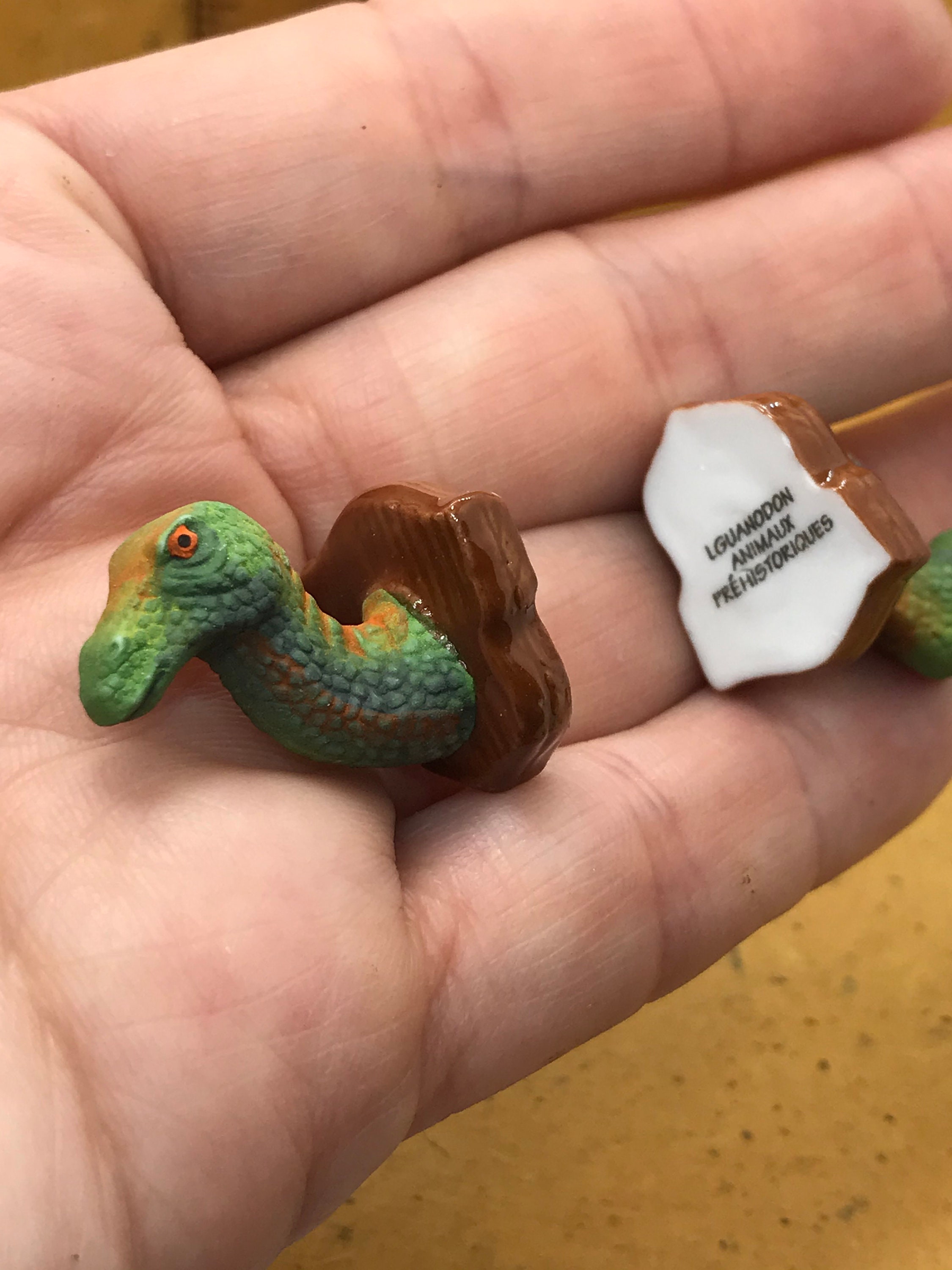 Tiny DINOSAUR Trendy Wall Head Mounts Dinosaurs Taxidermy Triceratops T ...
