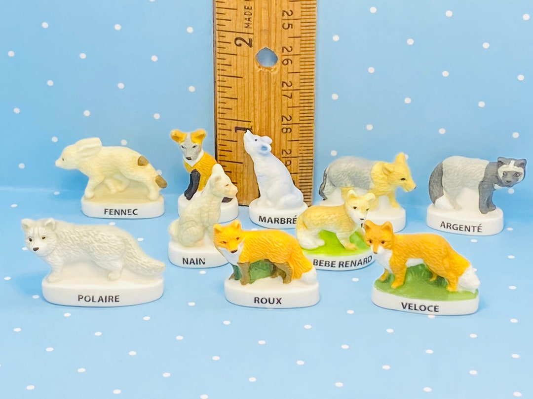 FOXES FOX Breeds Red Dwarf Polar Silver Baby Marble Fennec French Feve ...