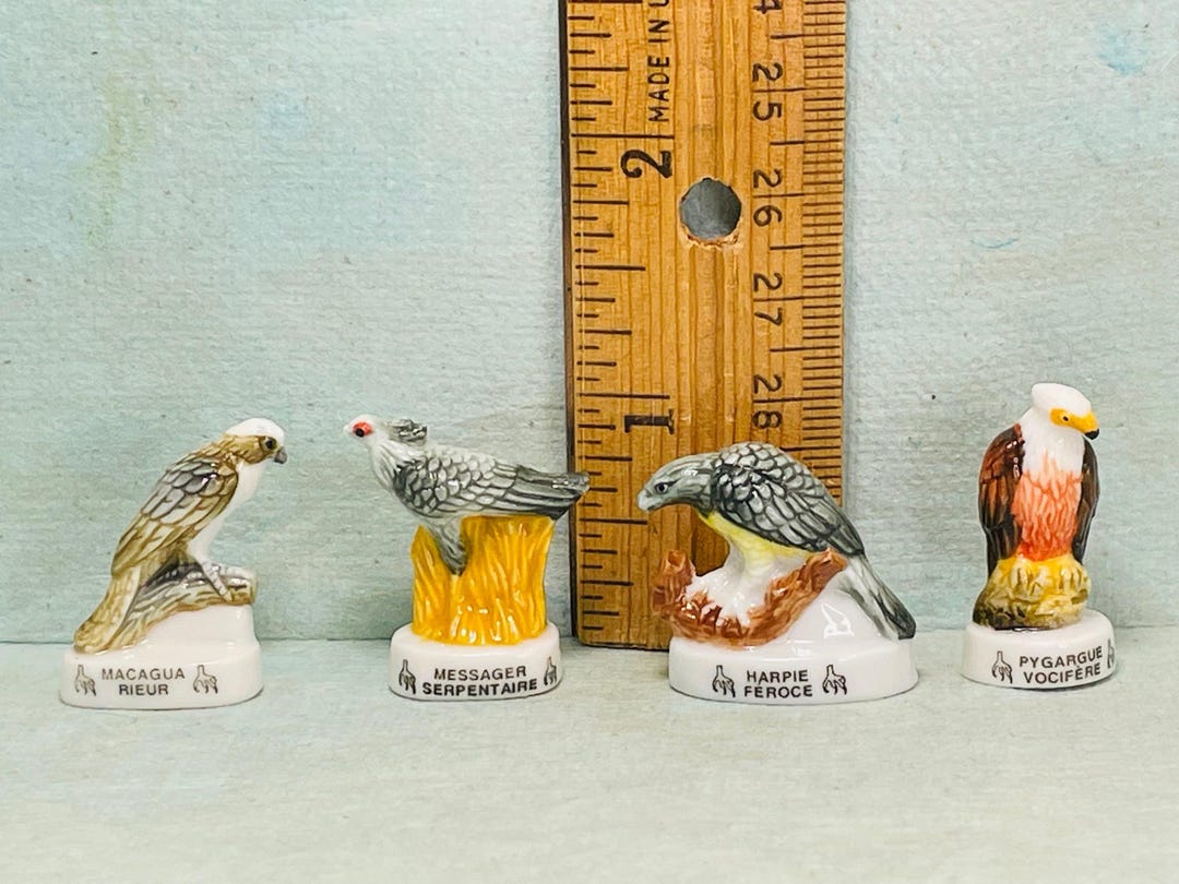 BIRDS of Prey Bird Laughing Falcon Secretary Harpy Hawk-eagle French ...