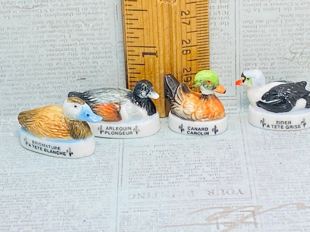 Tiny DUCKS WATERFOWL of the World Hand Painted Great Water Bird Birds ...
