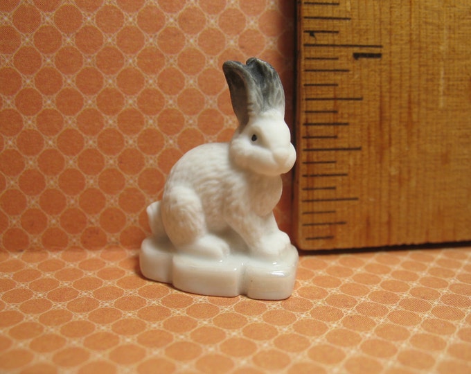 WHITE NORTH Snowshoe Arctic Hare Rabbit Bunny Alaska North - Etsy