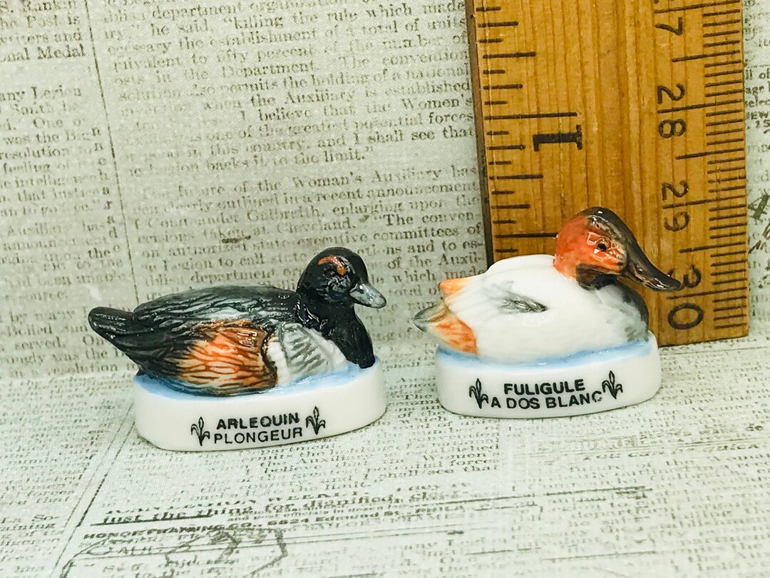 Tiny DUCKS WATERFOWL of the World Hand Painted Great Water Bird Birds ...