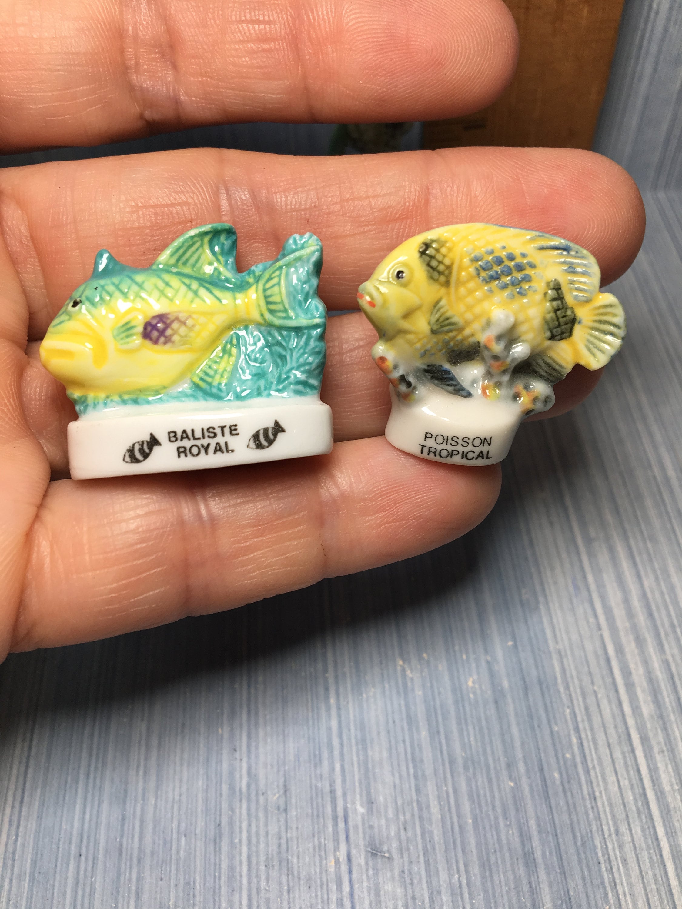 TROPICAL FISH Moorish Idol Angel Queen Triggerfish Reef Feve | Etsy