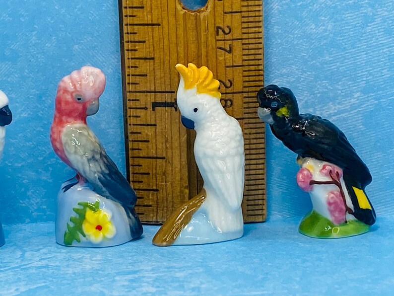COCKATIELS Parrots TROPICAL BIRDS Cockatiel Parrot Cockatoo Weiro Bird ...