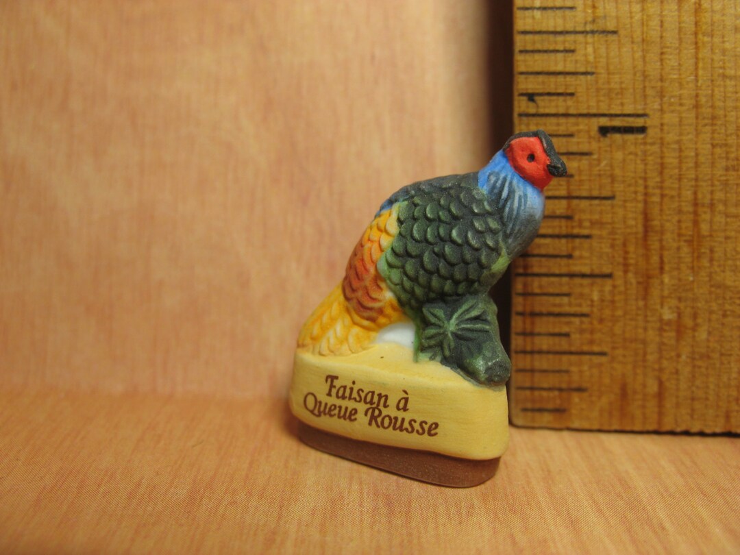 Crestless Fireback PHEASANT Tiny Game Fowl Bird Birds - French Feve ...