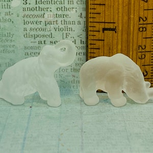 Prehistoric Man and Extinct Animals Wooly Mammoth Saber Tooth Tiger ...