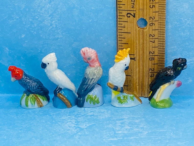 COCKATIELS Parrots TROPICAL BIRDS Cockatiel Parrot Cockatoo Weiro Bird ...