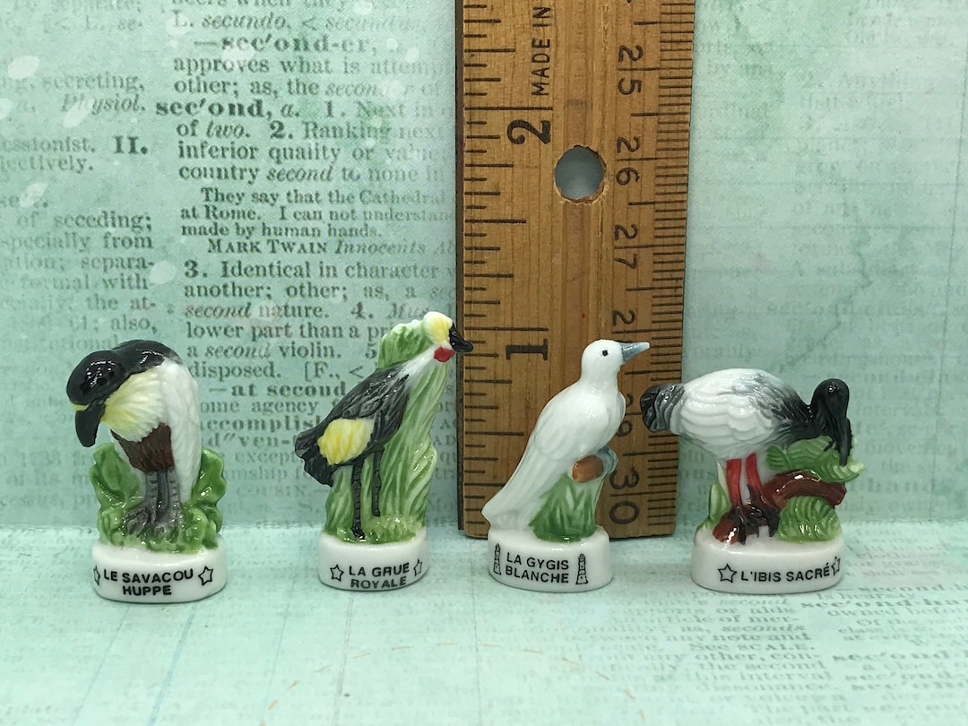 Tiny WATERFOWL of the World Hand Painted Great Water Bird Sea Ocean ...