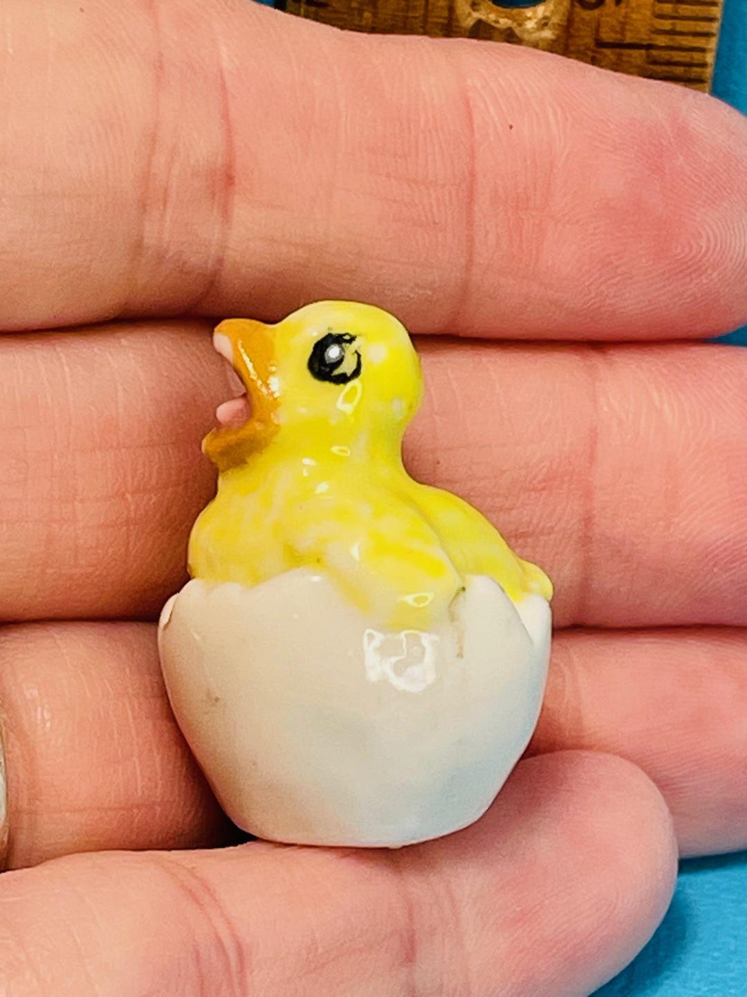 Baby Chick in an Egg Sweet Animals Easter Duck Hen Farm Barnyard ...