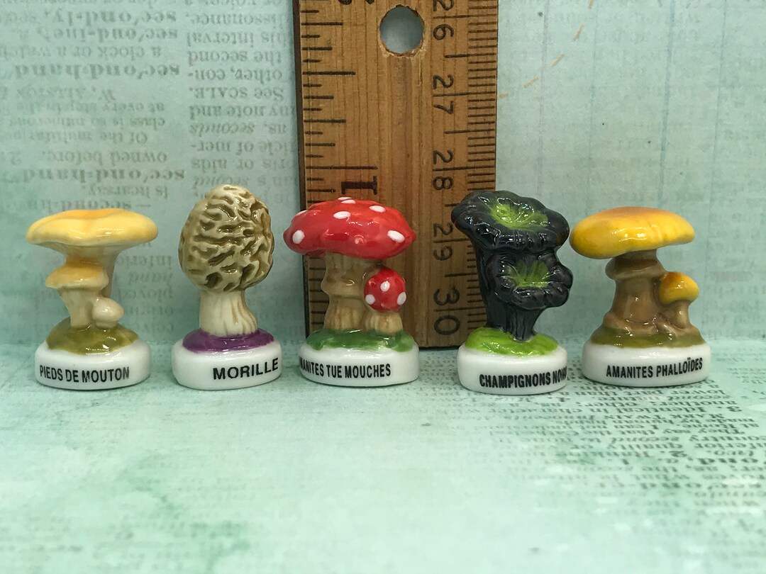 French Feve CHAMPIGNONS Champignons champignons Morel Agaric de mouche ...