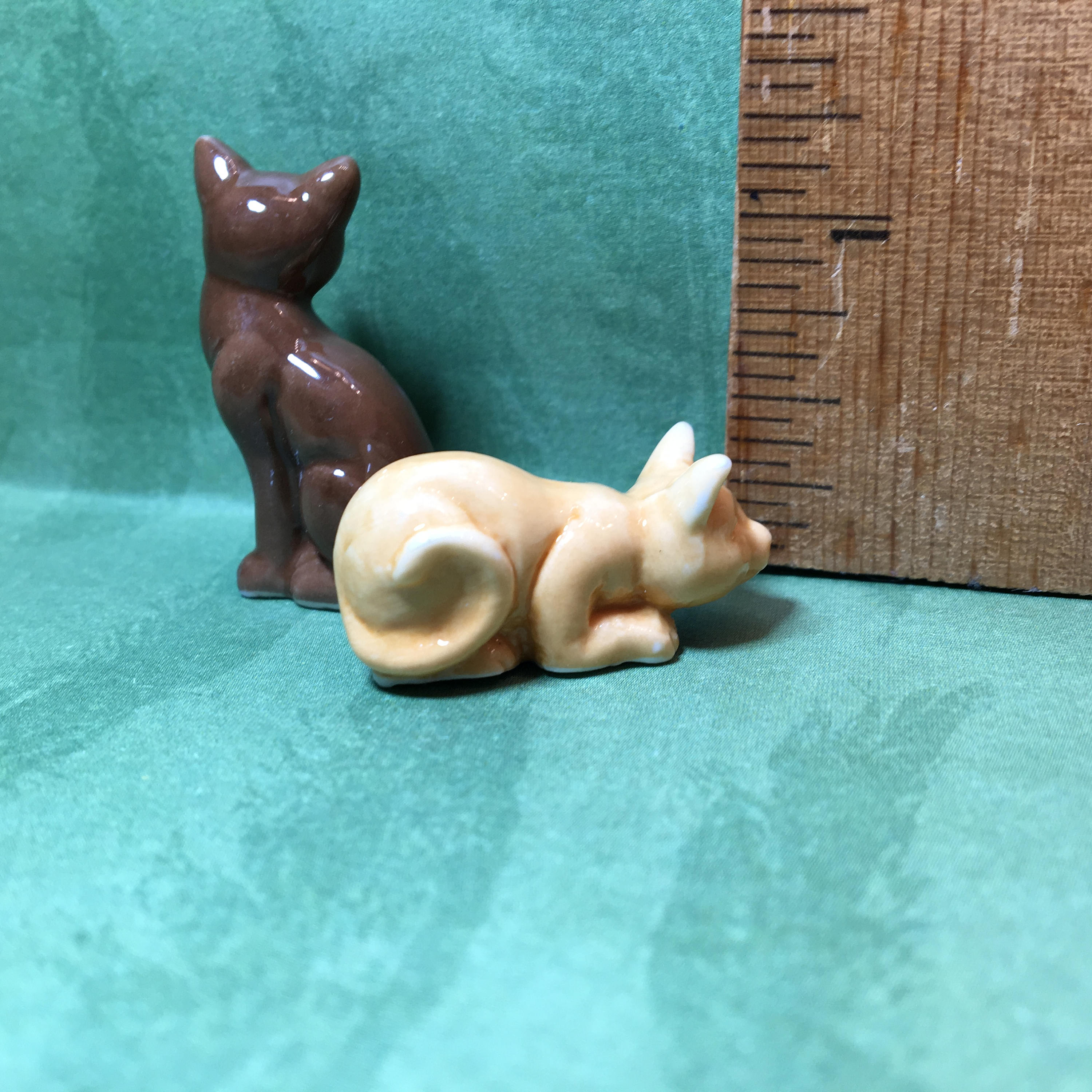 COLOR CATS Chocolate & Caramel Cat Kitten Kitty Feline - Etsy