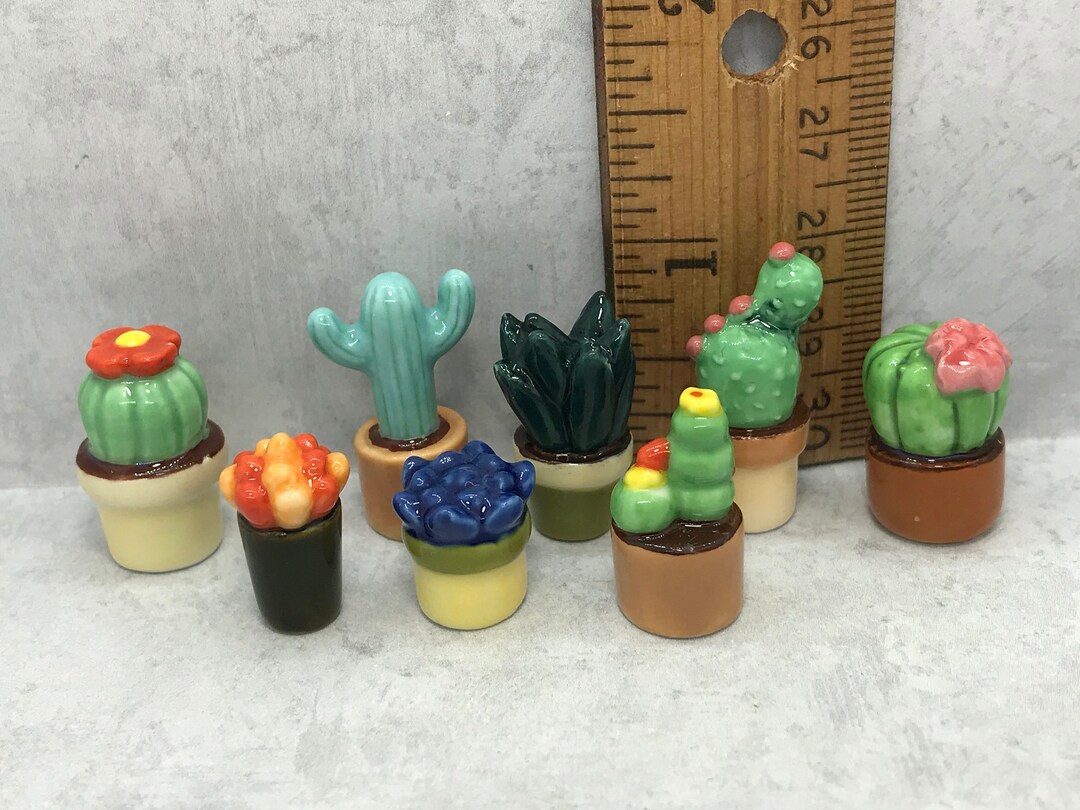 Adorable CACTUS Cacti Southwest Desert Plants Aloe Tiny Plant - French ...
