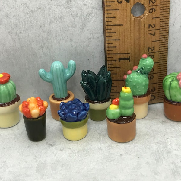 Miniature Cactus - Etsy