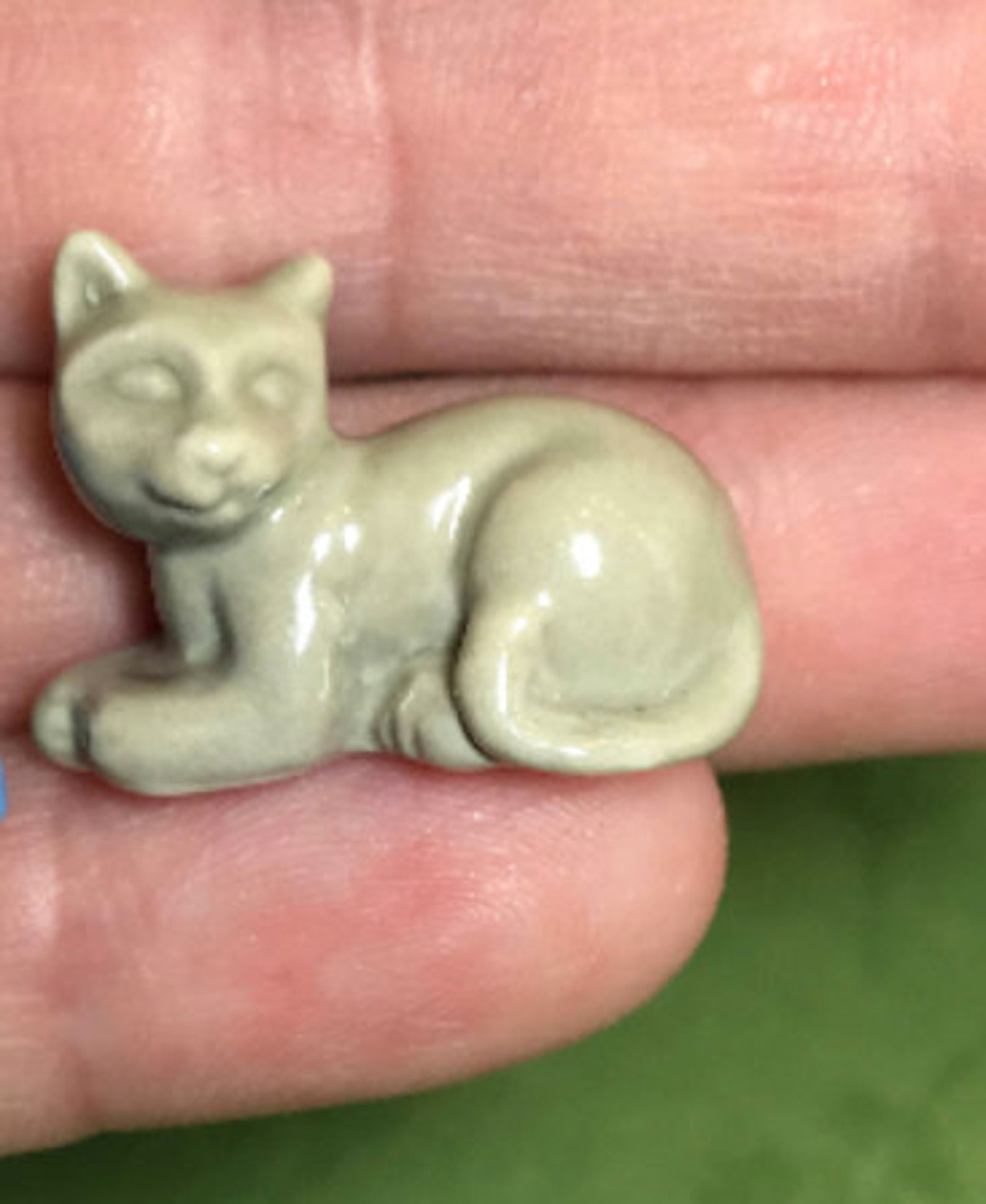 COLOR CATS - Blue Gray Cat Kitten Kitty Feline Felines - French ...