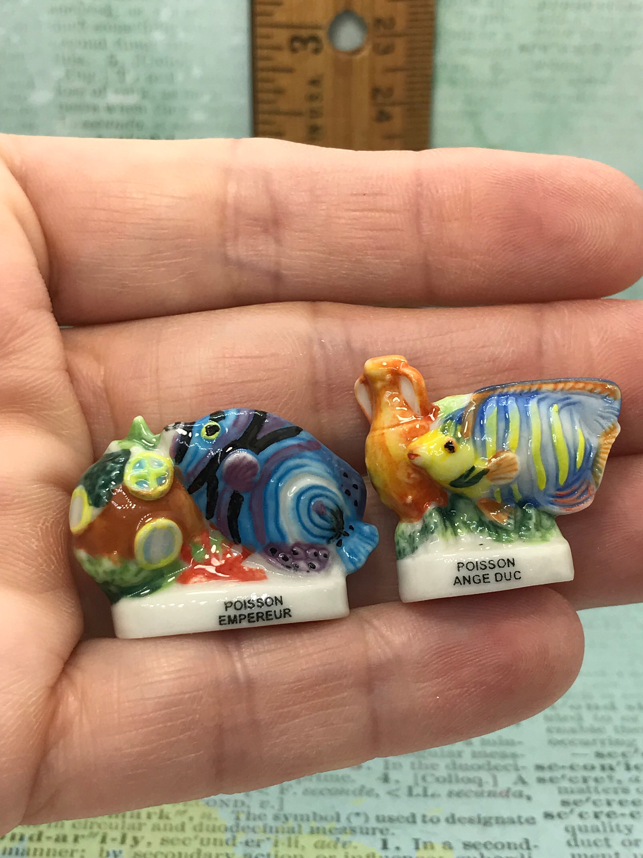 TROPICAL REEF FISH Angel Emperor Fish Ocean marine Sea life | Etsy