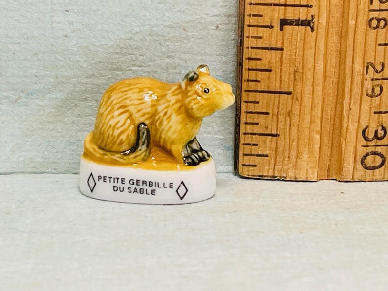 Rodents Zoo Animals: Flying Squirrel Shrew Chinchilla Red-eared Bat ...
