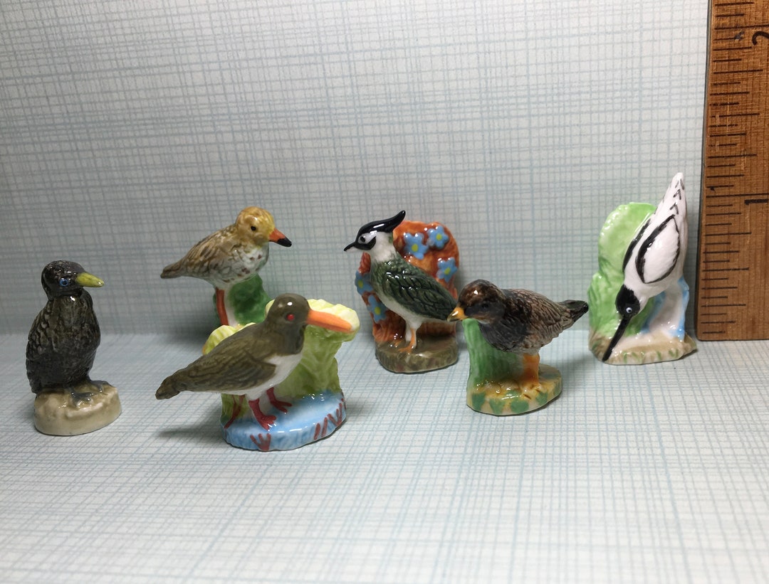 Tiny WATERFOWL of the World Hand Painted Great Water Bird Sea Ocean ...