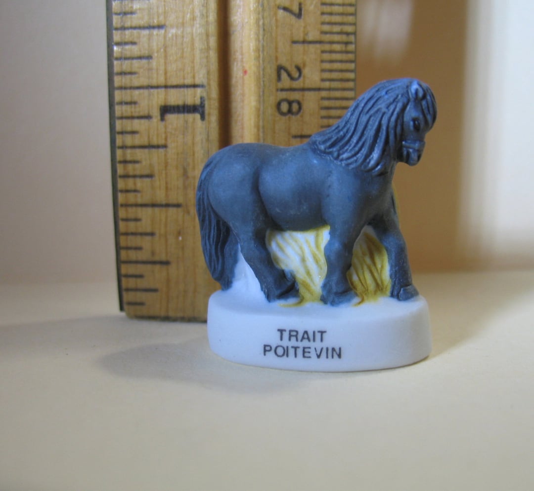 HORSE Trait Poitevin Mulassier Pony Stallion French Draft French Feve ...