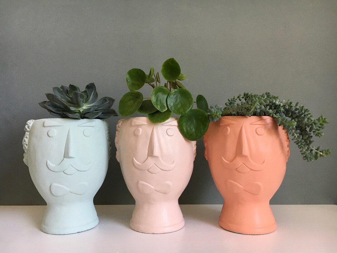 NEW and BIG! SELECTABLE Bobby Head Flowerpot Face Plant Head Figure ...