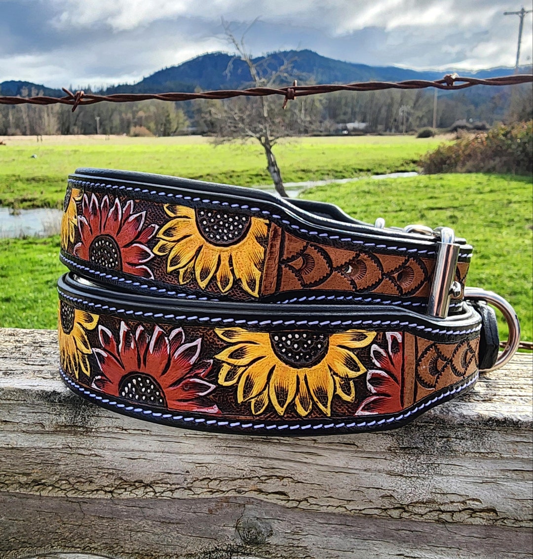 Sunflower Dream, Hand-tooled Sunflower Dog Collar, Padded Leather ...