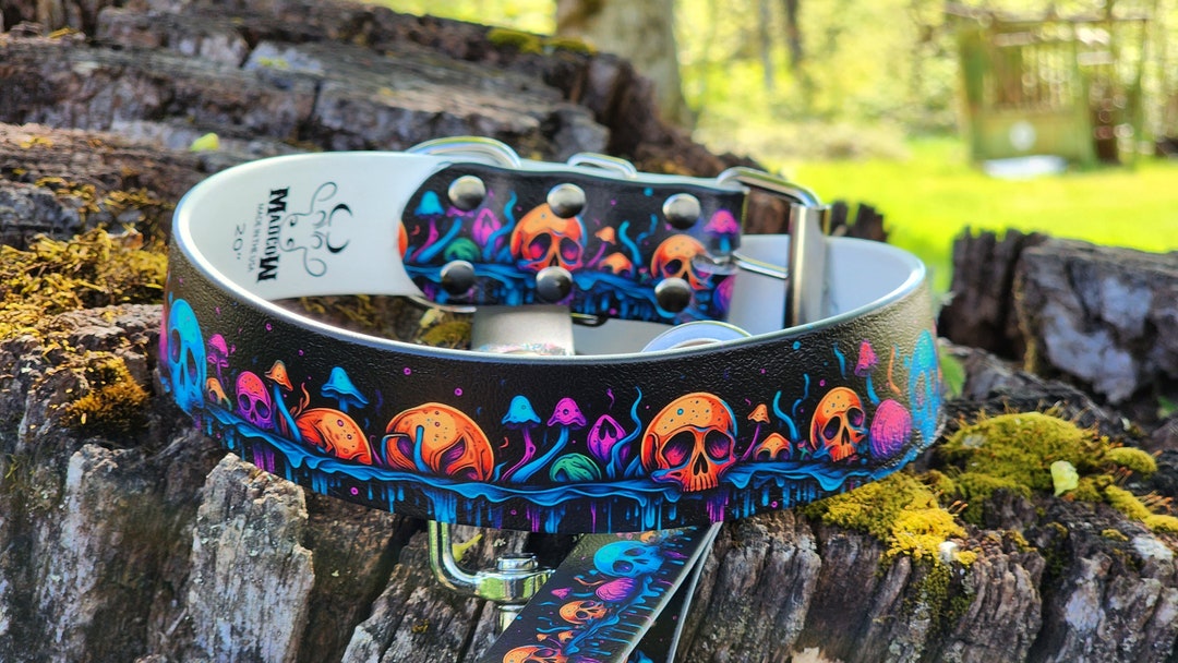 Trippy Skulls & Fungi - All Weather, Waterproof Collar, Custom Dog ...