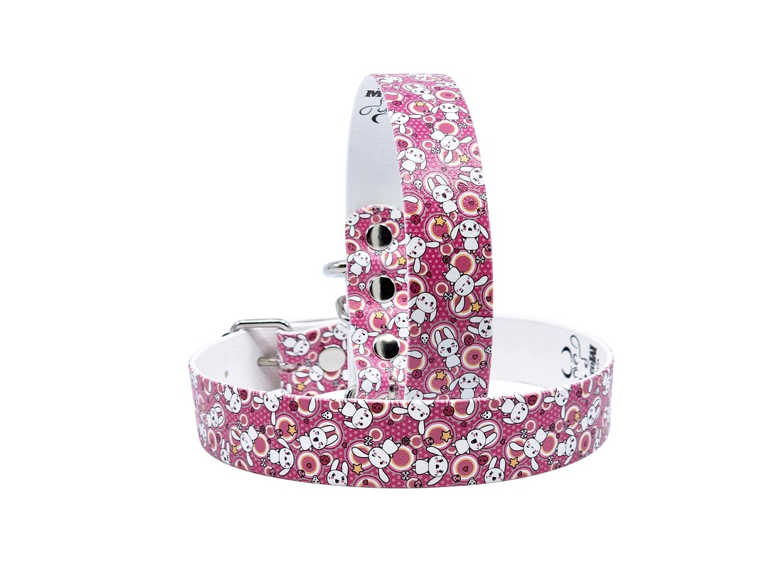 Rascally Rabbits All Weather, Waterproof Collar, Custom Dog Collar ...