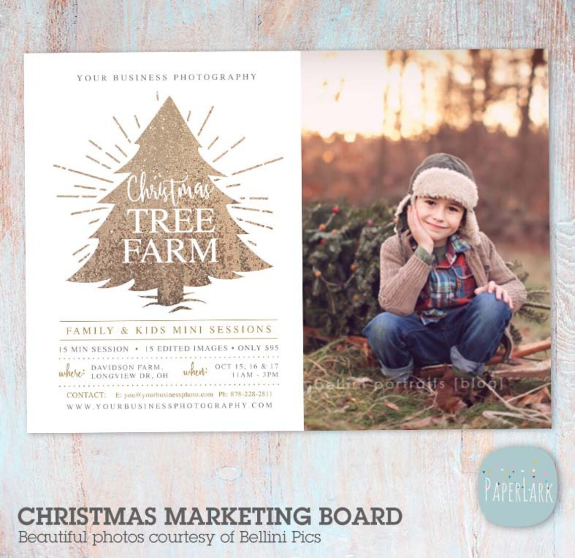 Christmas Tree Farm - Christmas Mini Session Template - Photoshop ...