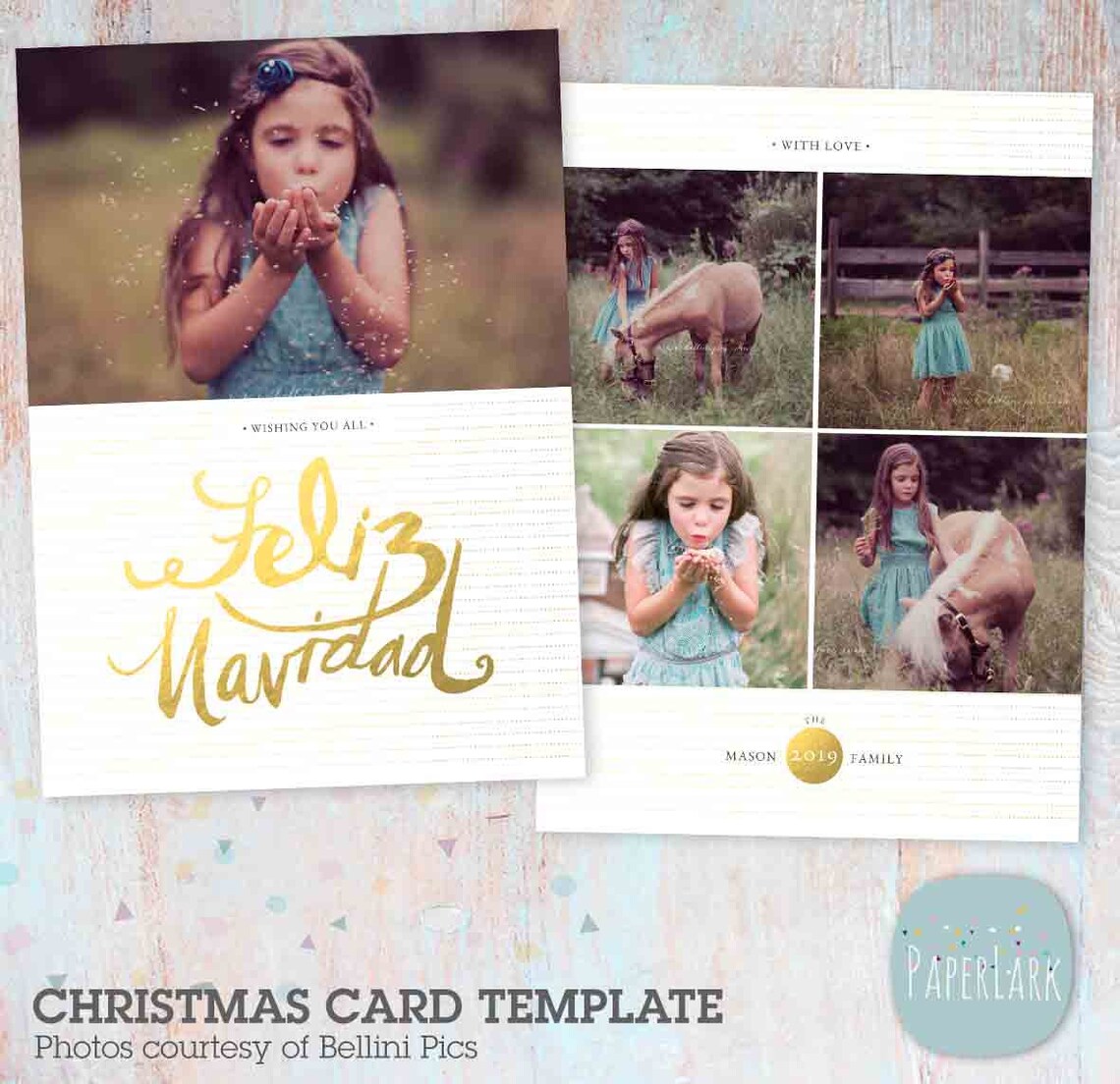 Holiday Card Template Bundle - Photoshop Template - AC045 - INSTANT ...