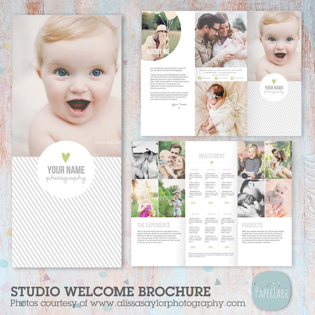 Studio Welcome Flyer - Trifold Brochure - DL Size Sell Sheet - PG015 ...