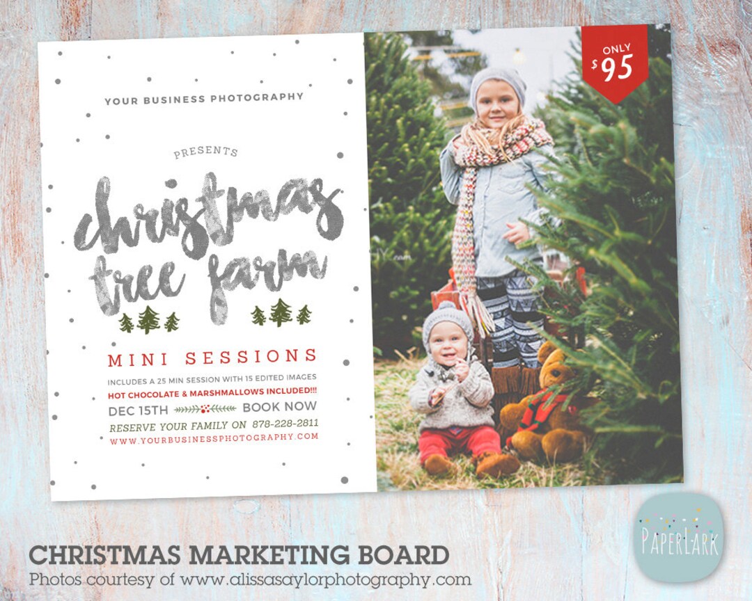 Christmas, Marketing Board, Xmas Mini Sessions, Christmas Minis, Tree ...