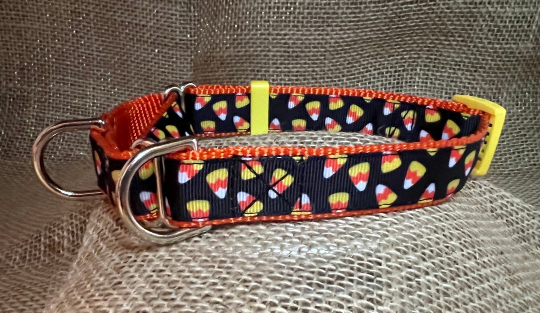 5/8 & 3/4 Candy Corn Collar, Martingale, Quick Release, Combo ...