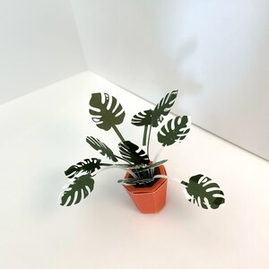 Mini Monstera Cricut Template - Etsy