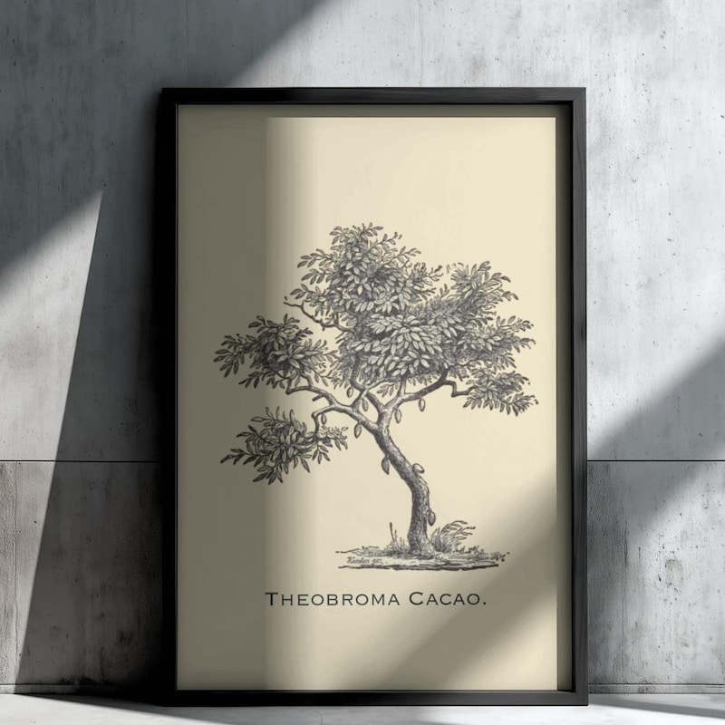 Theobroma Cacao - Etsy