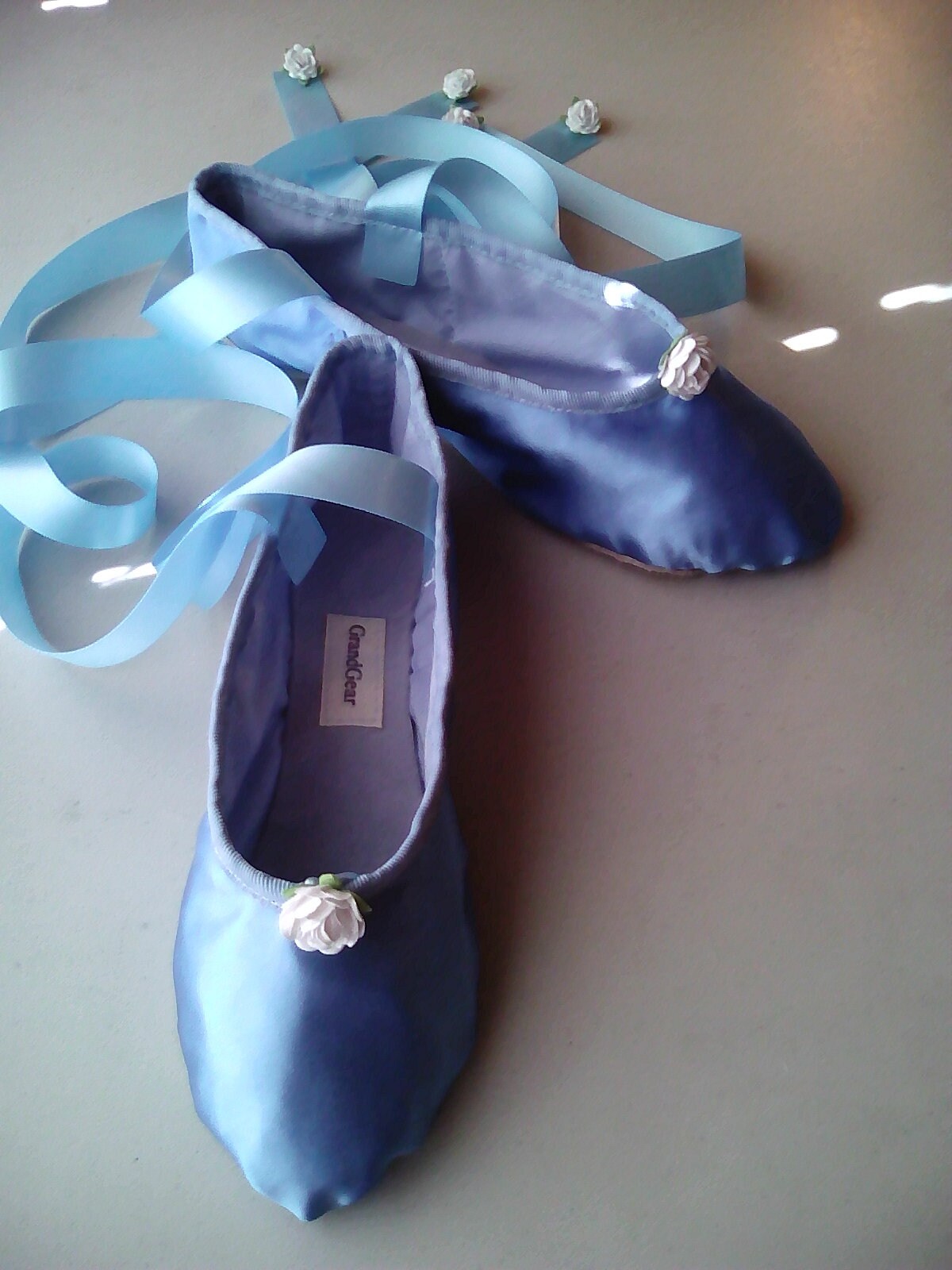 Royal Blue Pointe Shoes
