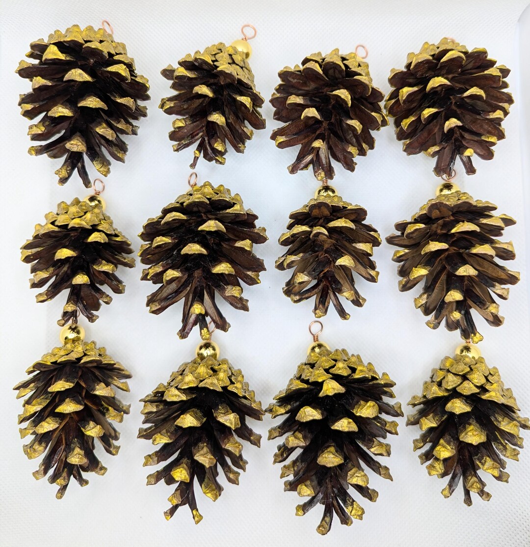 Set of 12 Austrian Pine Cone Christmas Ornaments: Gold Painted, Gold ...