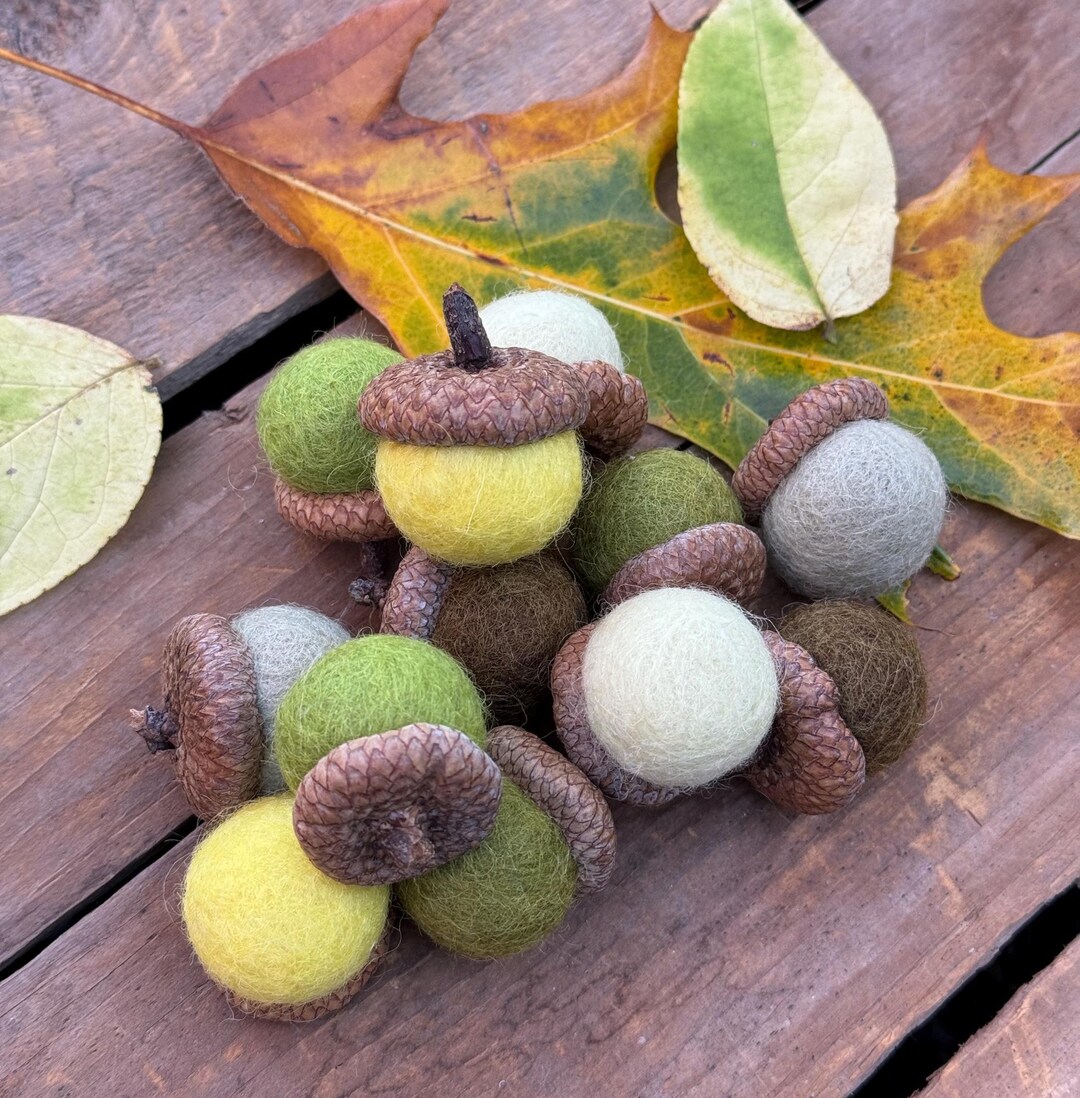Set of 12 Felted Acorns With Natural Acorn Cap. Fall Autumn ...