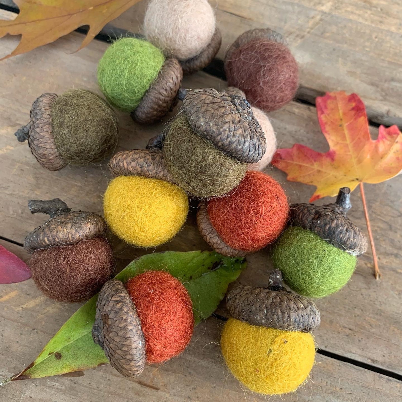 Set of 12 Felted Acorns With Natural Acorn Cap. Fall Autumn - Etsy