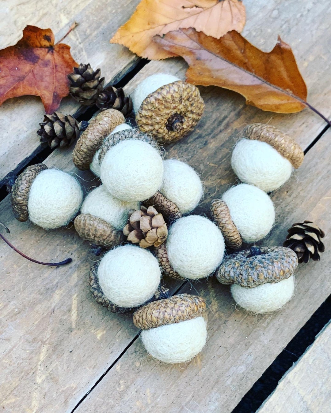 Set of 12 Felted Almond Colored Acorns With Natural Acorn Cap. Fall ...
