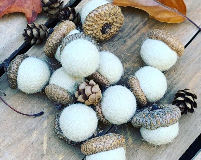 Set of 12 Felted Almond Colored Acorns With Natural Acorn Cap. Fall ...