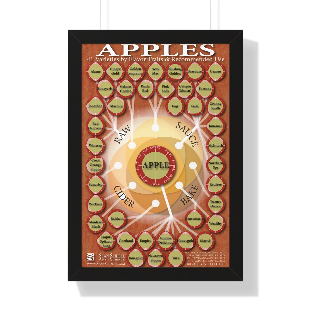 Autumn Guide to Apples 41 Varieties of Apples by Flavors - Etsy