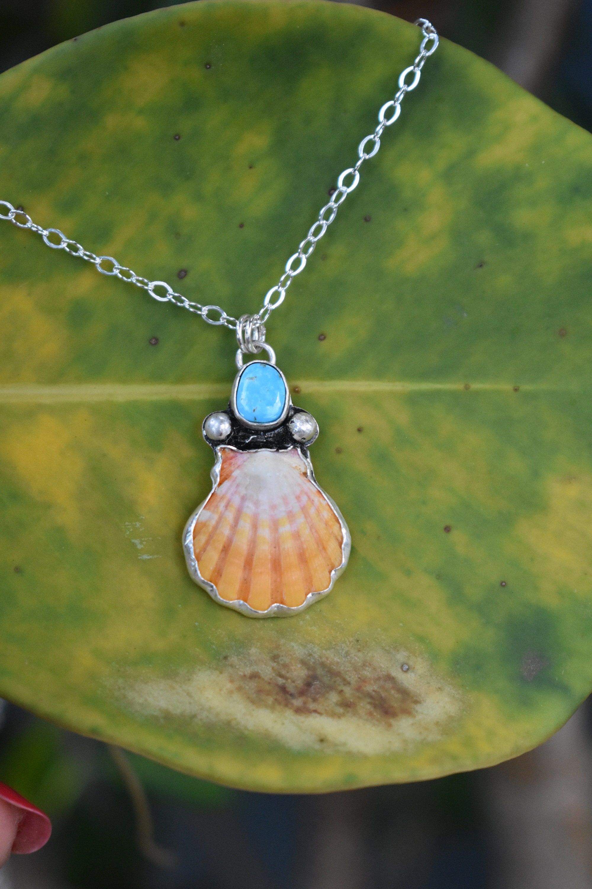 Sunrise shell x Turquoise