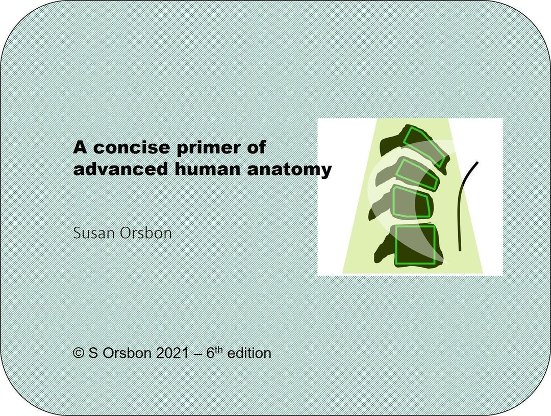 A Concise Primer of Advanced Human Anatomy, 2021 6th Edition - Etsy