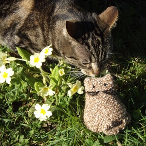 PATTERN A cat called Grace quick and easy knitting | Etsy