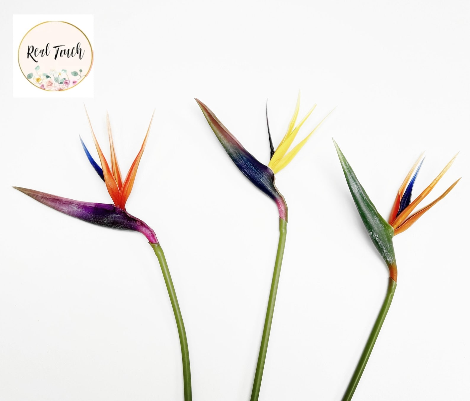 Pack of 10 Stems Real Touch Bird of Paradise Flower - Etsy