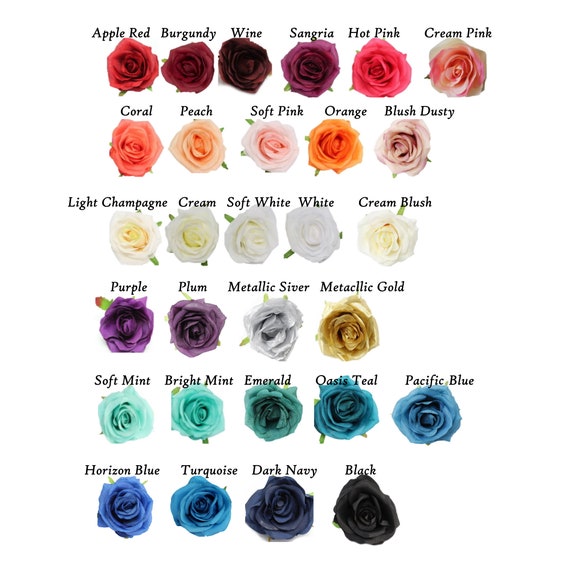 Natural Colorful Rose