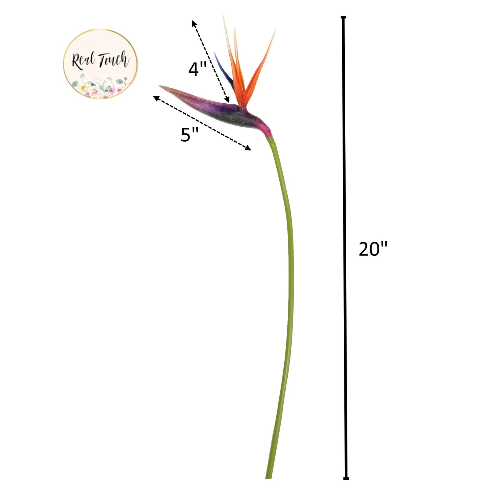 Pack of 10 Stems Real Touch Bird of Paradise Flower - Etsy